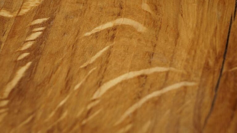 How to Get Scratches Out of Vinyl Flooring Easily and Quickly - Floor ...